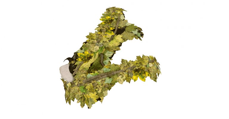 How To Craft Items In The Forest: Complete Crafting Guide - eXputer.com