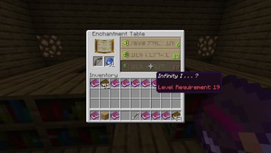 Minecraft Infinity Enchantment: [Hands-on Experience] - eXputer.com