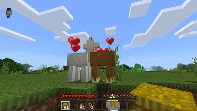 How To Breed Llamas In Minecraft [Our Expert Tips] - eXputer.com