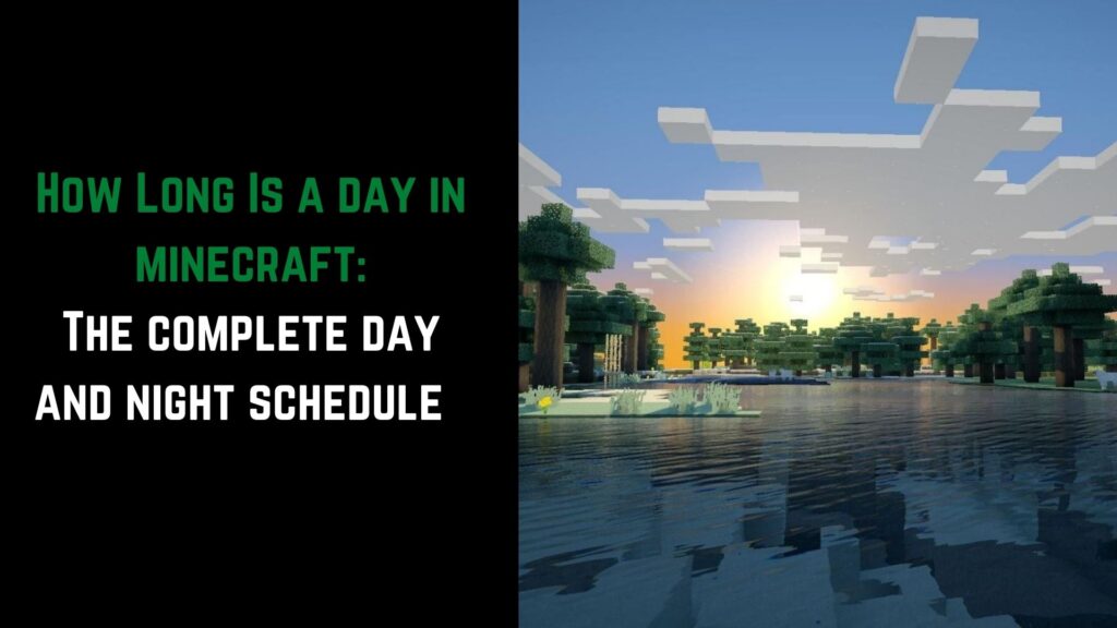 Dream's Minecraft Settings [Mouse, Graphics, Keybinds]