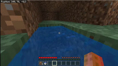 How To Crawl In Minecraft Java/Bedrock Edition? - eXputer.com