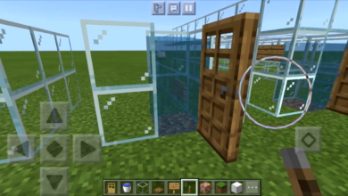 How To Crawl In Minecraft Java/Bedrock Edition? - eXputer.com