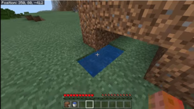 How To Crawl In Minecraft Java/Bedrock Edition? - eXputer.com