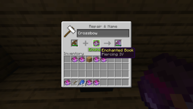 Minecraft: Best Crossbow Enchantments [Our Picks] - eXputer.com