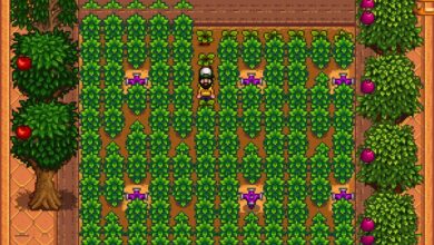 Stardew Valley: Best Fall Crops [Ranked] - eXputer.com