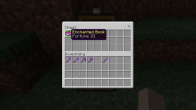 Minecraft Fortune Enchantment – All You Need to Know - eXputer.com