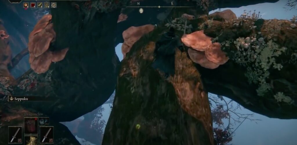 Elden Ring Malenia: How To Find Malenia Boss - eXputer.com