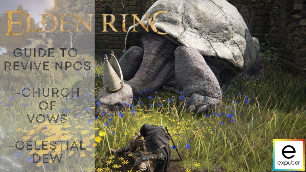 Elden Ring Lenne's Rise: How To Reach & Unlock It - eXputer.com