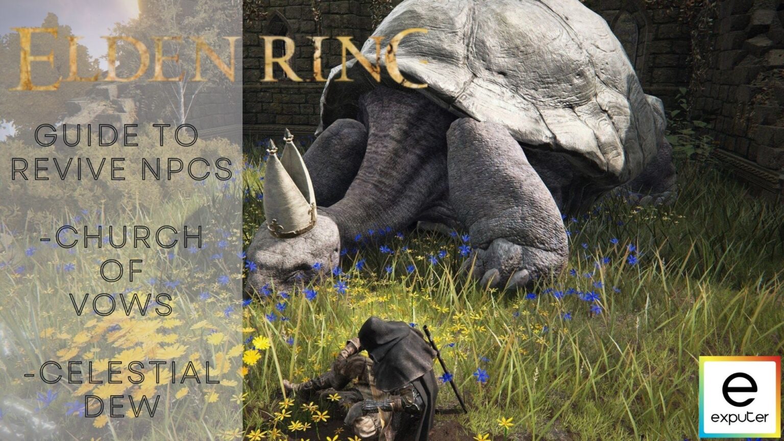 Elden Ring Crashing on Loading Screen [SOLVED] - eXputer.com