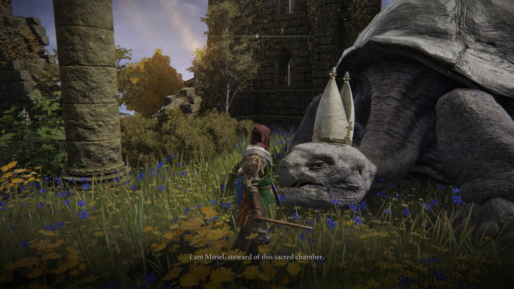 Elden Ring Player Kills Beloved Pope Turtle So You Don't Have To