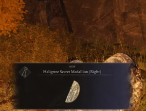 Elden Ring Haligtree Medallion Location Walkthrough - eXputer.com