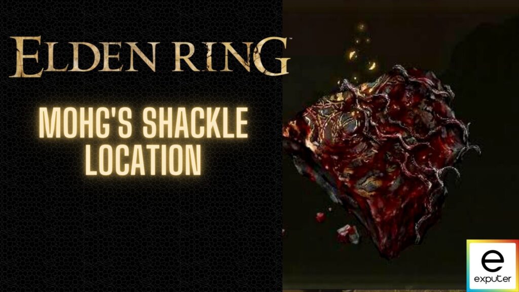 Top 10 Elden Ring BEST Buffs [My Recommendations] - eXputer.com