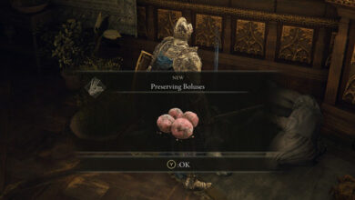 Elden Ring Preserving Boluses Location & Crafting - eXputer.com