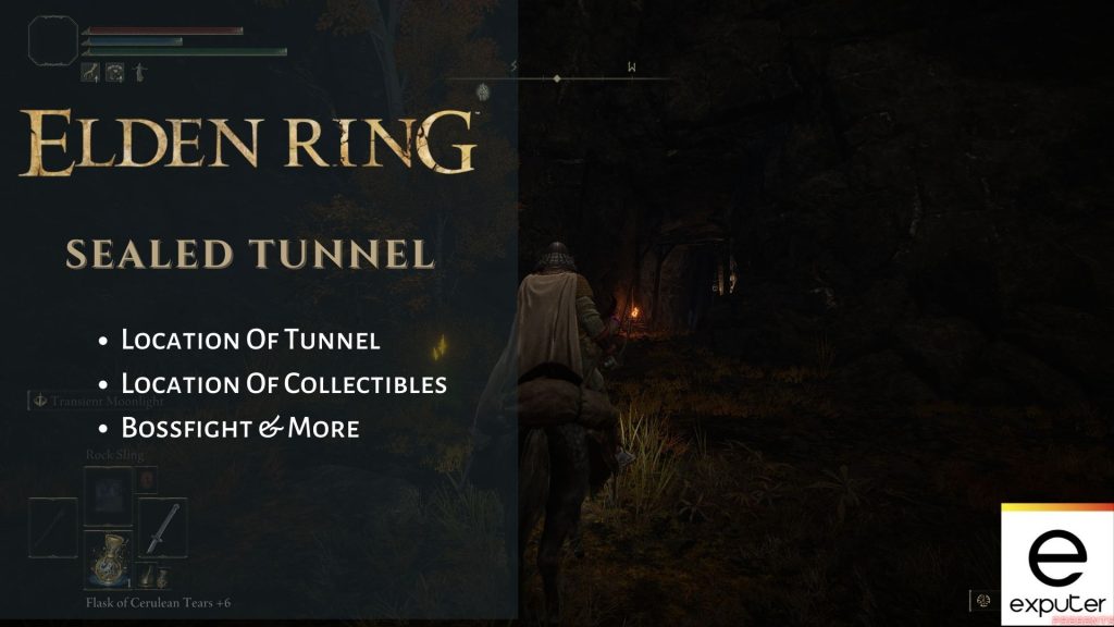 Elden Ring Crashing on Loading Screen [SOLVED] - eXputer.com