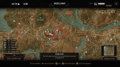 Witcher 3 Griffin School Gear [All Rarity Types] - eXputer.com