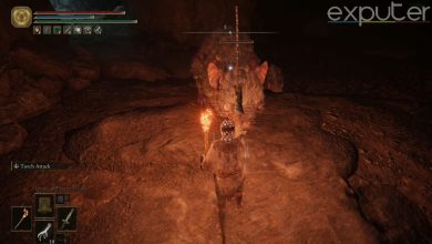 Elden Ring: How To Get & Farm Rune Arcs - eXputer.com