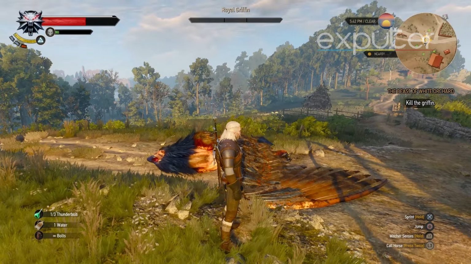 The Witcher 3: Take The Coin Or Experience Points? - eXputer.com