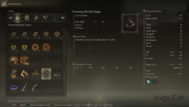 Elden Ring: How To Invade Worlds [Step By Step] - eXputer.com