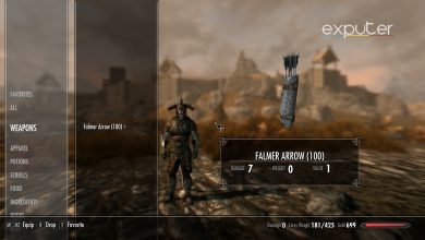 The Best Arrows In Skyrim [55 Hours Experience] - eXputer.com