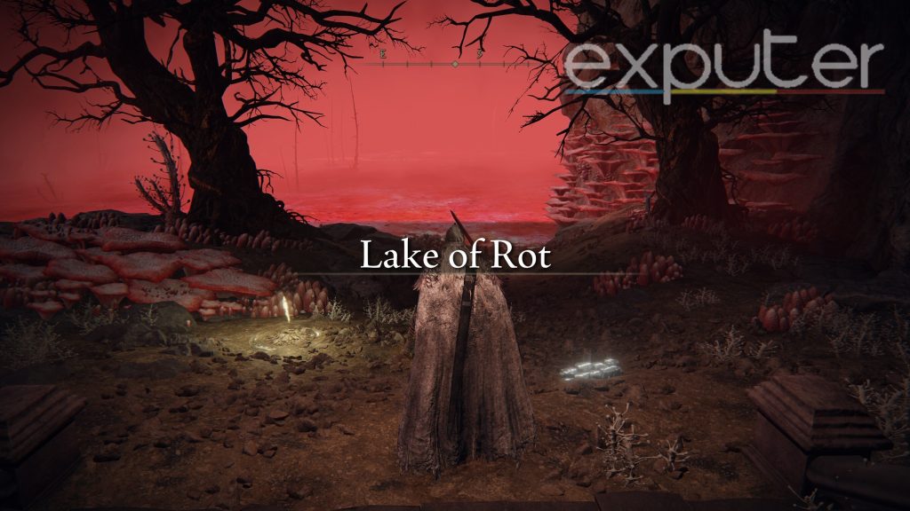 Elden Ring Lake Of Rot [Our Expert's Opinion + Experience] - eXputer.com
