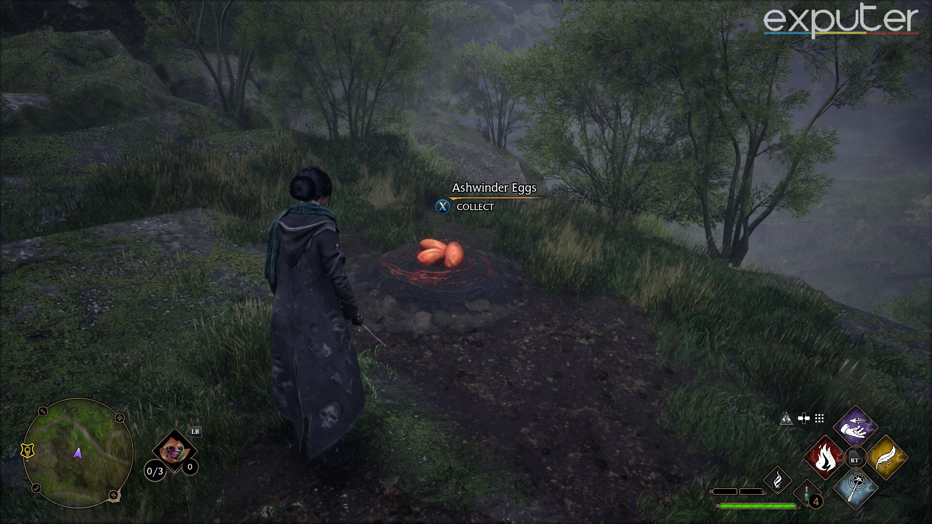 Hogwarts Legacy: Ashwinder Eggs Location [Our Suggestions] - eXputer.com