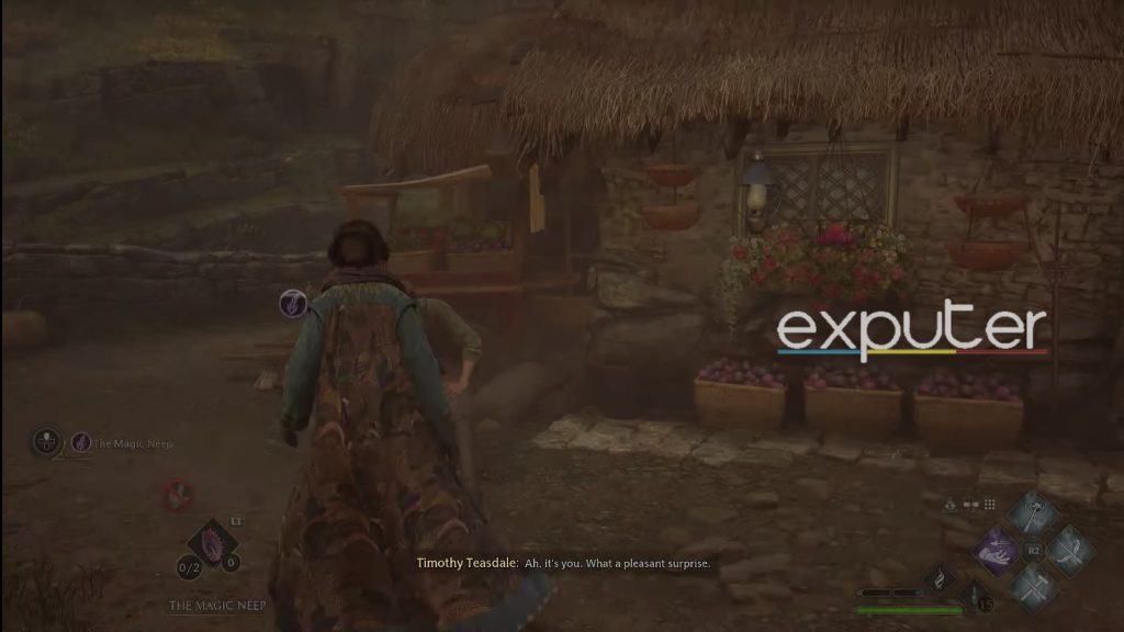 Hogwarts Legacy Knotgrass Sprig [Our Expert's Take] - eXputer.com