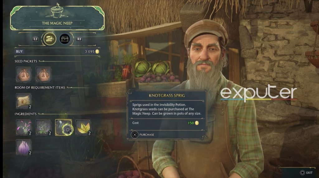 Hogwarts Legacy Knotgrass Sprig [Our Expert's Take] - eXputer.com