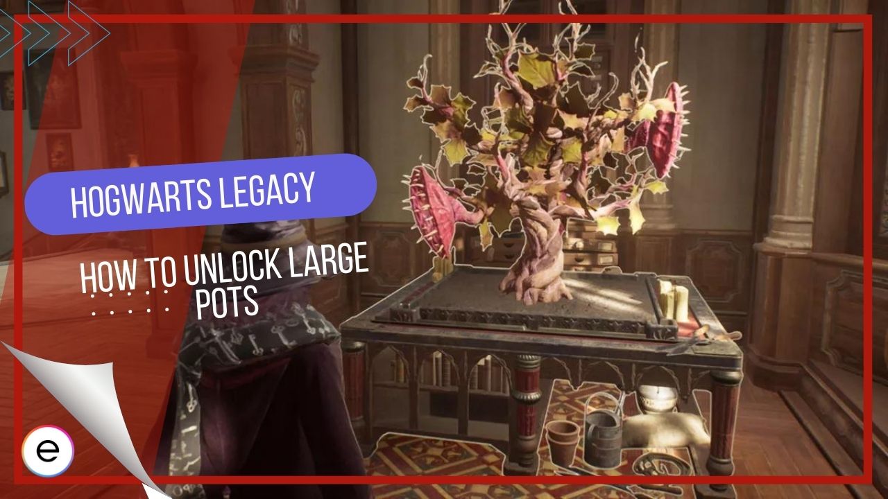 Hogwarts Legacy Large Pots [How to Unlock & Use] - eXputer.com
