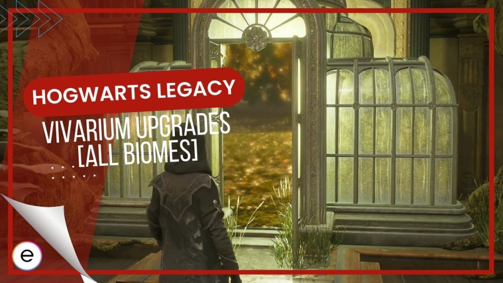 Hogwarts Legacy Chess Puzzle: How To Locate & Solve - eXputer.com