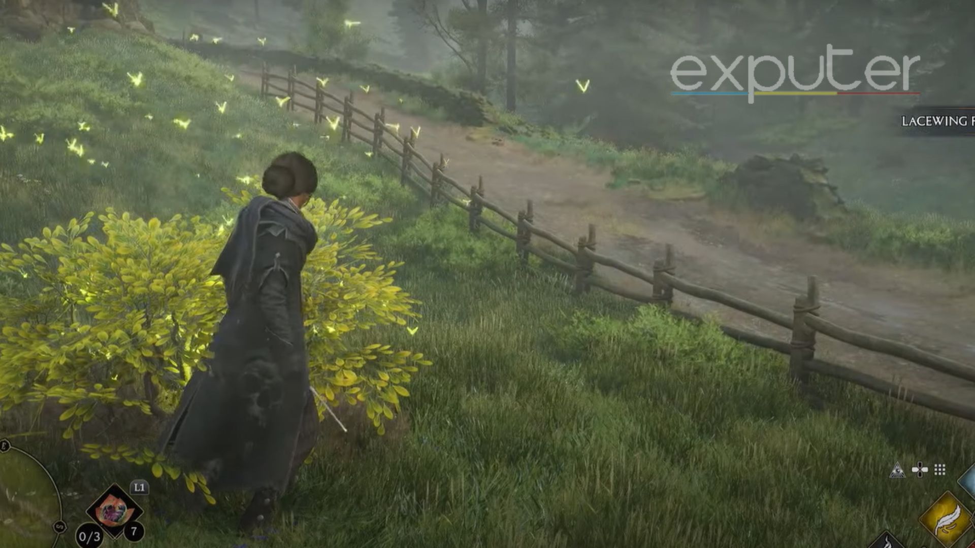 Hogwarts Legacy: How To Find Lacewing Flies - eXputer.com