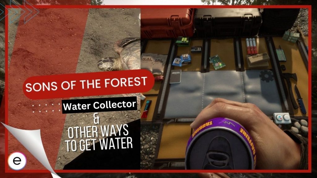 Sons of the Forest Paraglider [Location & Controls] - eXputer.com