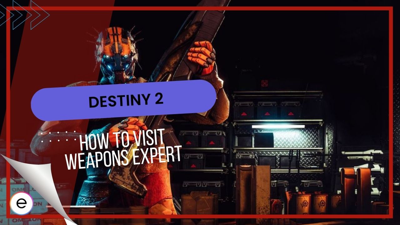 Destiny 2: Best Gambit Weapons [3000+ Hours Experience] - eXputer.com