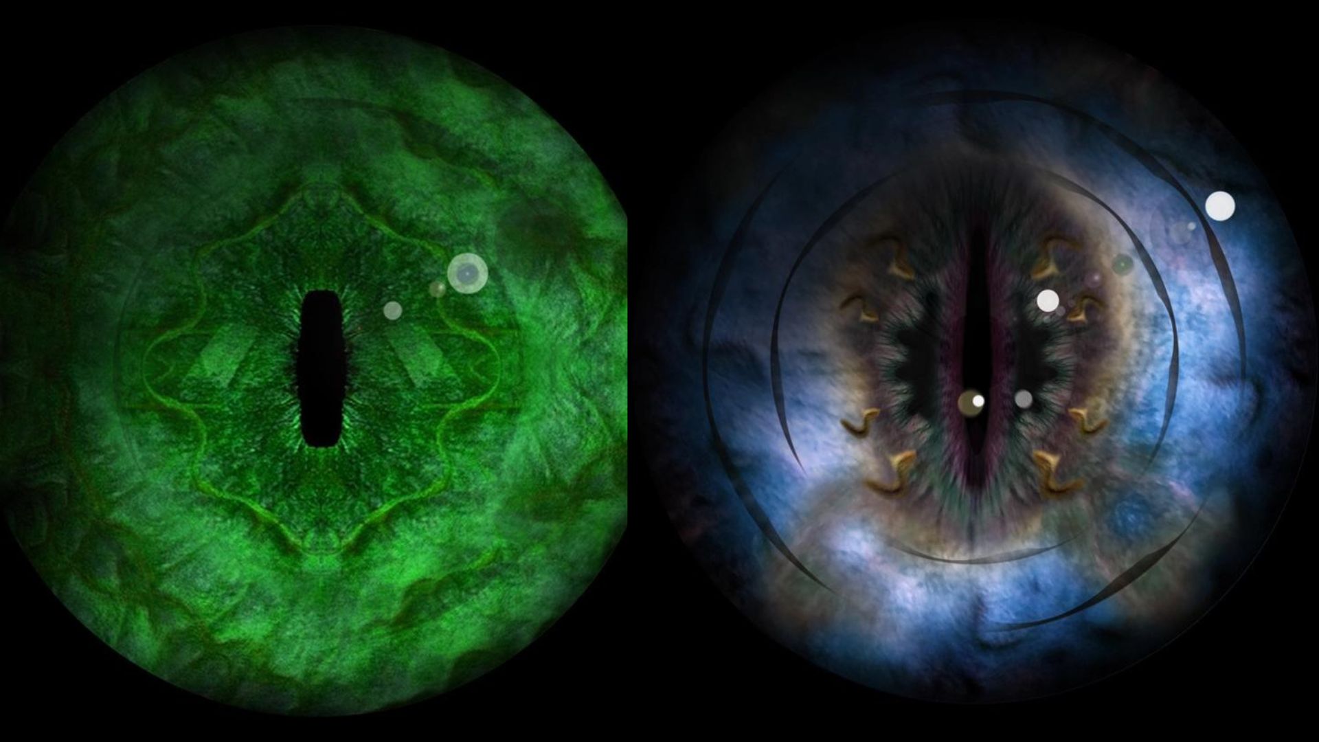 7 Best Eye Mods In Skyrim [Expert's Opinion + Experience] - eXputer.com