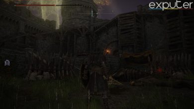 Elden Ring Bloody Slash: Location, Affinities, & Tips - eXputer.com