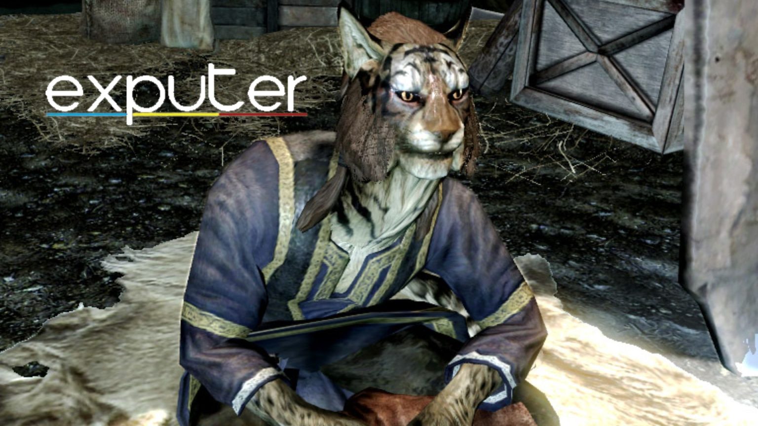 Skyrim: The Top 10 Best Merchants [3000+ Hours Experience] - eXputer.com