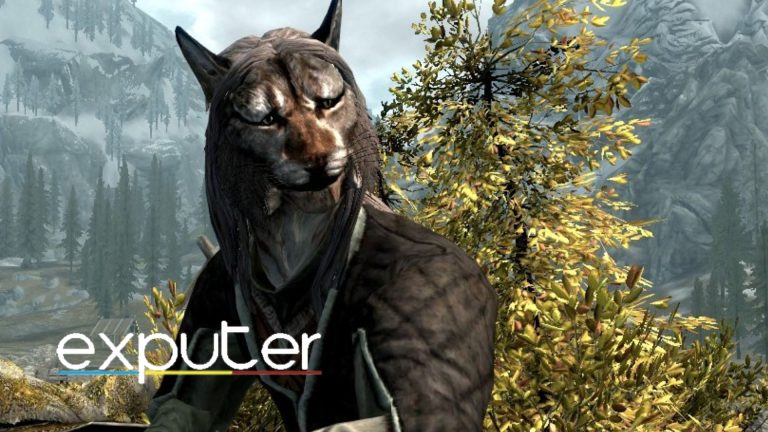 Skyrim: The Top 10 Best Merchants [3000+ Hours Experience] - eXputer.com