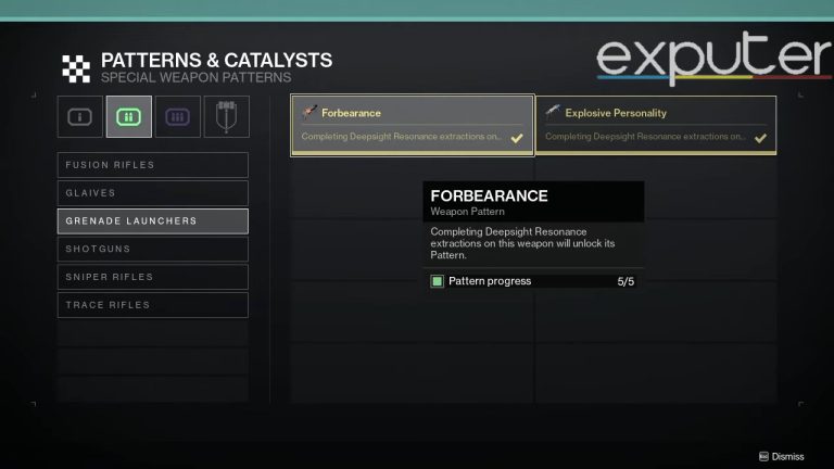 Destiny 2 Forbearance: Stats, Perks & Usage - eXputer.com