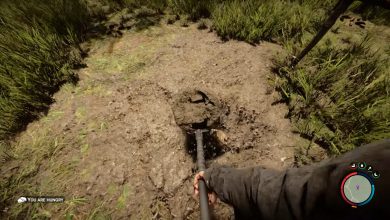 Sons of the Forest: How To Get Shotgun & Ammo [Walkthrough]