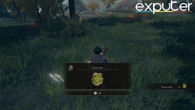 Elden Ring: Poison Mist [Location And Stats] - eXputer.com