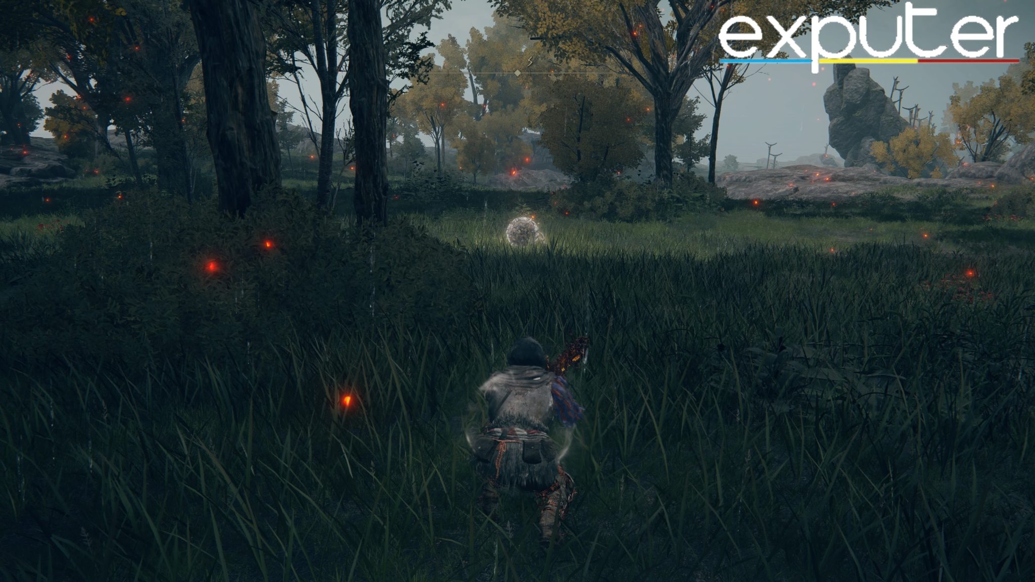 Elden Ring: Poison Mist [Location And Stats] - eXputer.com