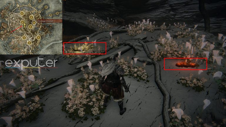 Elden Ring Rotten Winged Sword Insignia [Location & Builds]