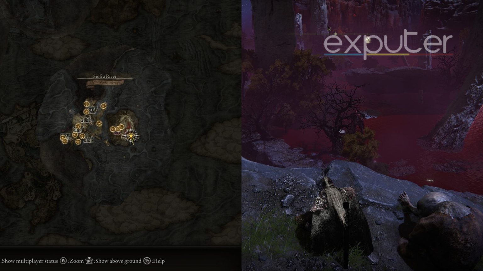 Elden Ring: Bird Farm [Location & How To Use] - eXputer.com