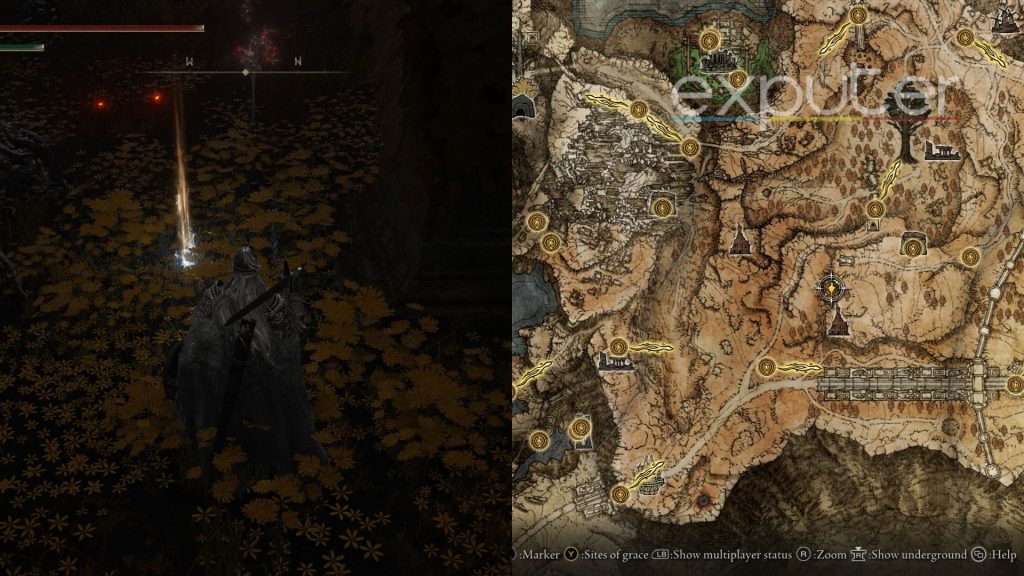 Elden Ring Seluvis Quest: Location + Walkthrough - eXputer.com
