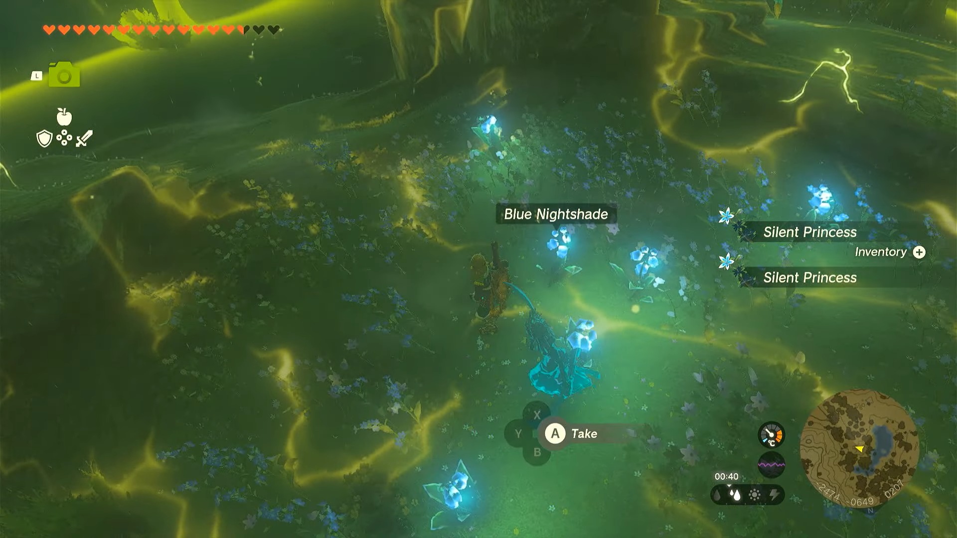 Tears of the Kingdom: Blue Nightshade [Locations & Uses] - eXputer.com