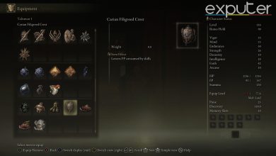 Elden Ring: Blasphemous Blade Build [Stats, Armor & Spells]