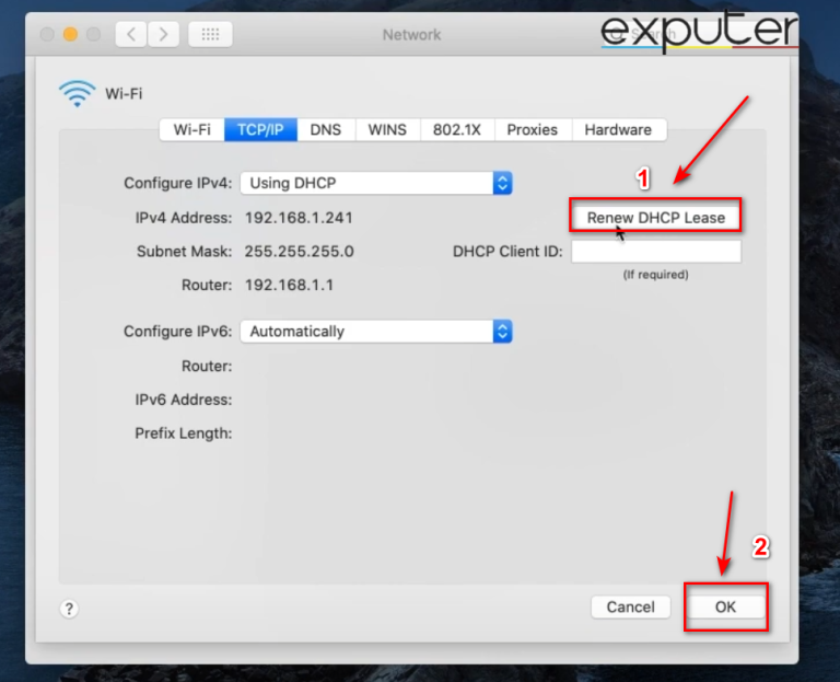 How to Reset IP Address: Mac, Windows, Linux & More
