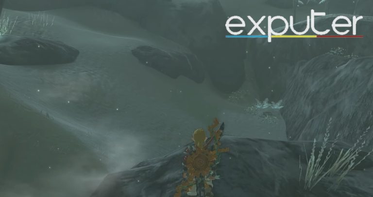 Tears of the Kingdom: Hebra's Great Skeleton Quest - eXputer.com