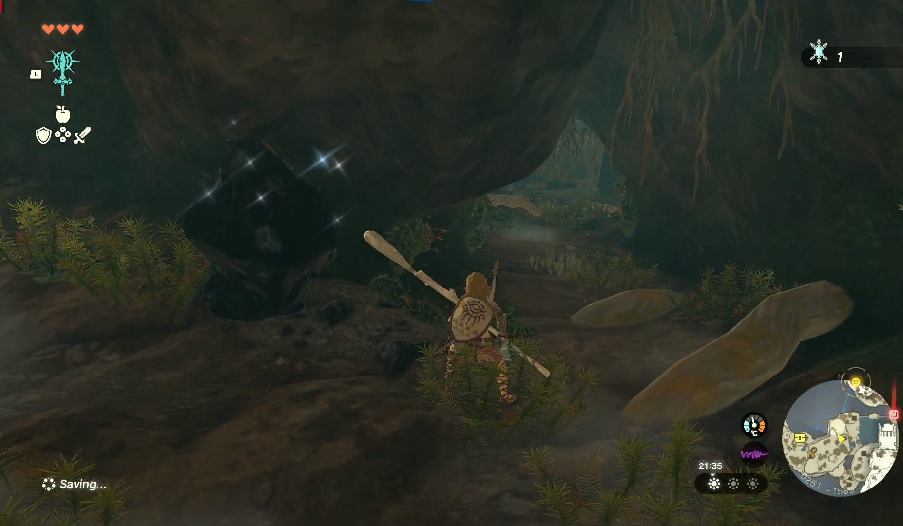 Zelda Tears of the Kingdom: Archaic Tunic Location - eXputer.com