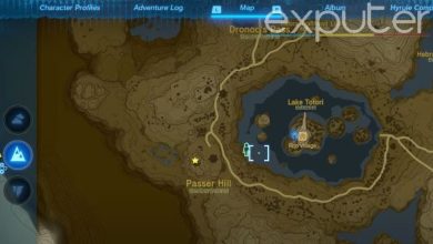 Zelda Tears of the Kingdom: All Cherry Blossom Trees Location