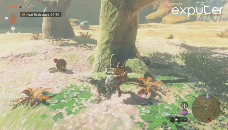 Zelda Tears of the Kingdom: All Cave Locations [Ultimate List]